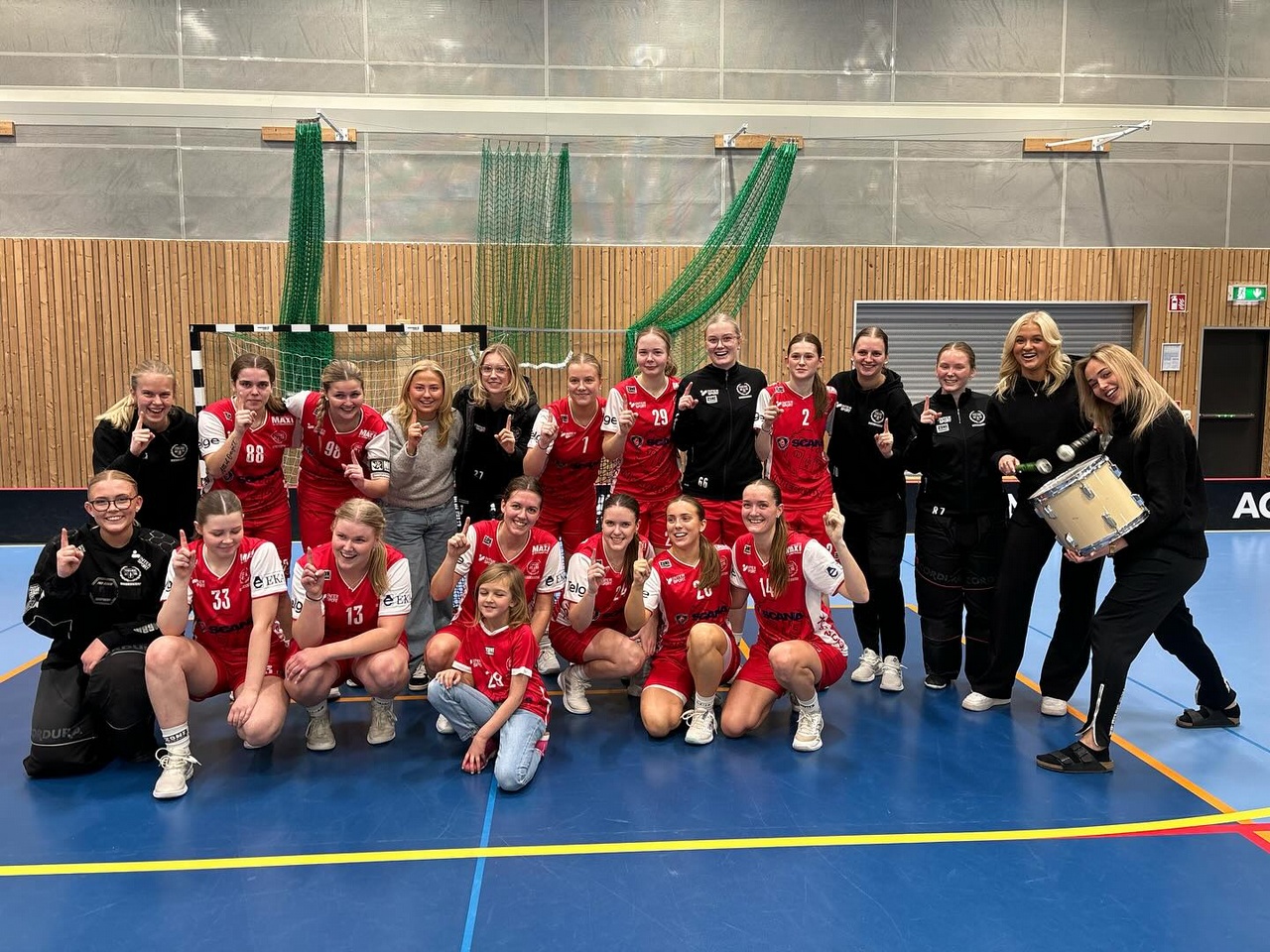 Telge SIBK - Dam Allsvenskan